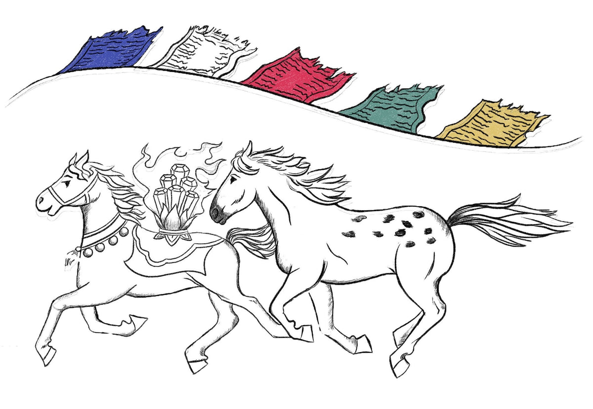 Wind Horses Collection – Wind Horses Collection